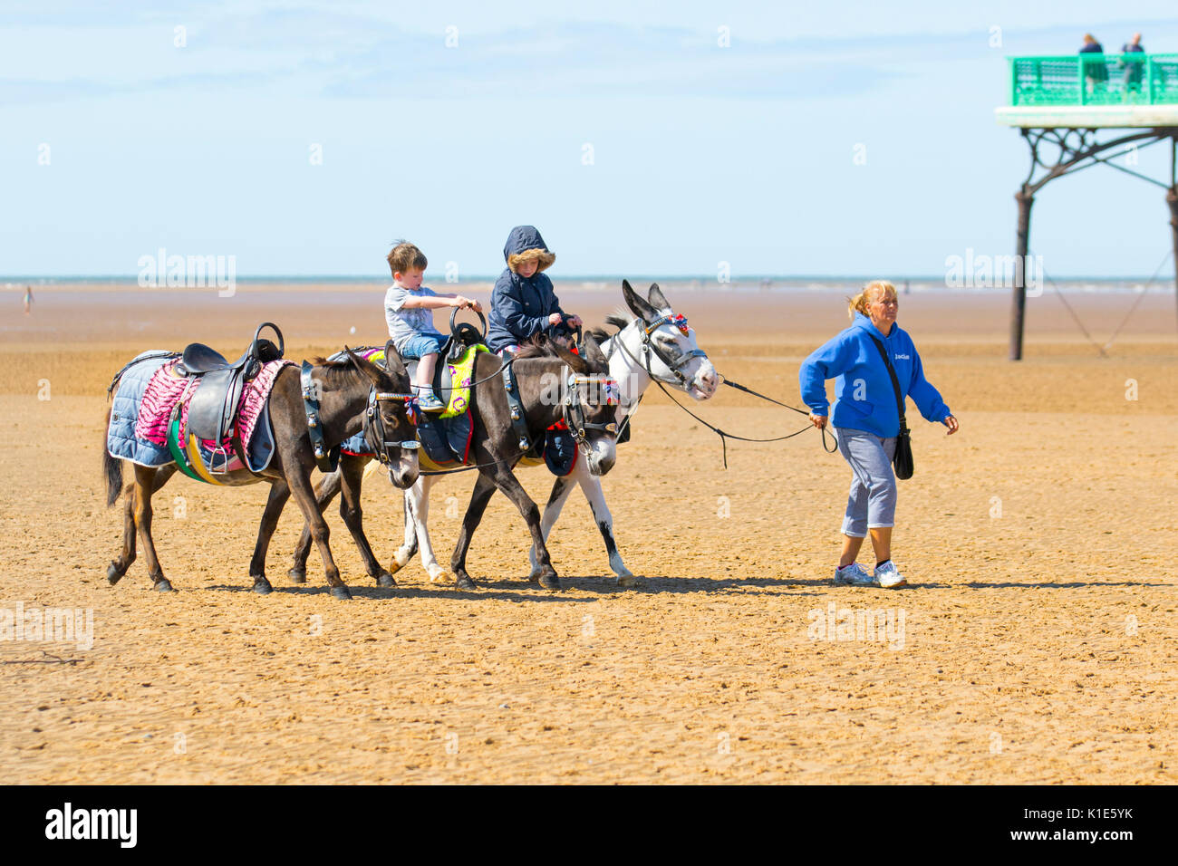 St annes beach donkey hi-res stock photography and images - Alamy