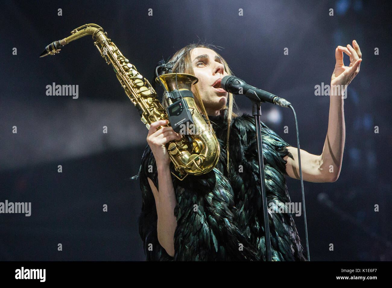 Polly jean hi-res stock photography and images - Alamy