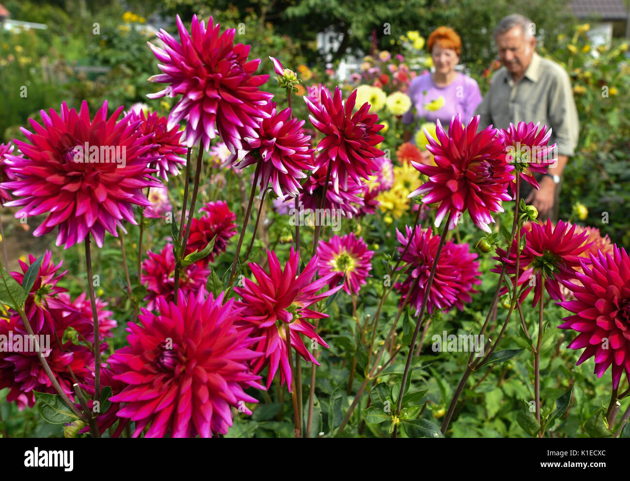 Reinhold roth hi-res stock photography and images - Alamy