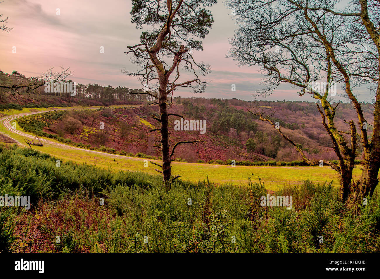 Surrey landscapes hi-res stock photography and images - Alamy