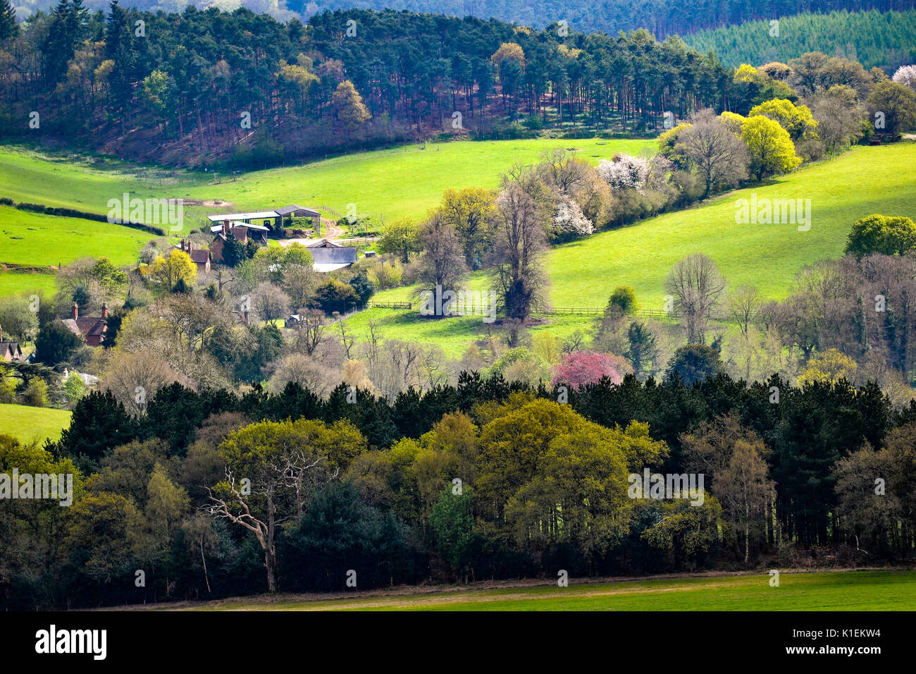 Newlands corner hi-res stock photography and images - Alamy
