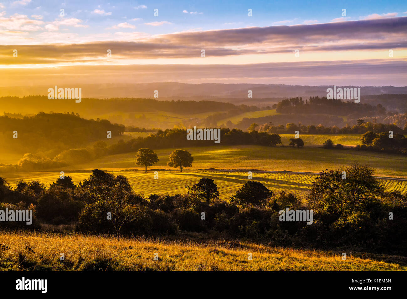 Newlands Corner Hi res Stock Photography And Images Alamy