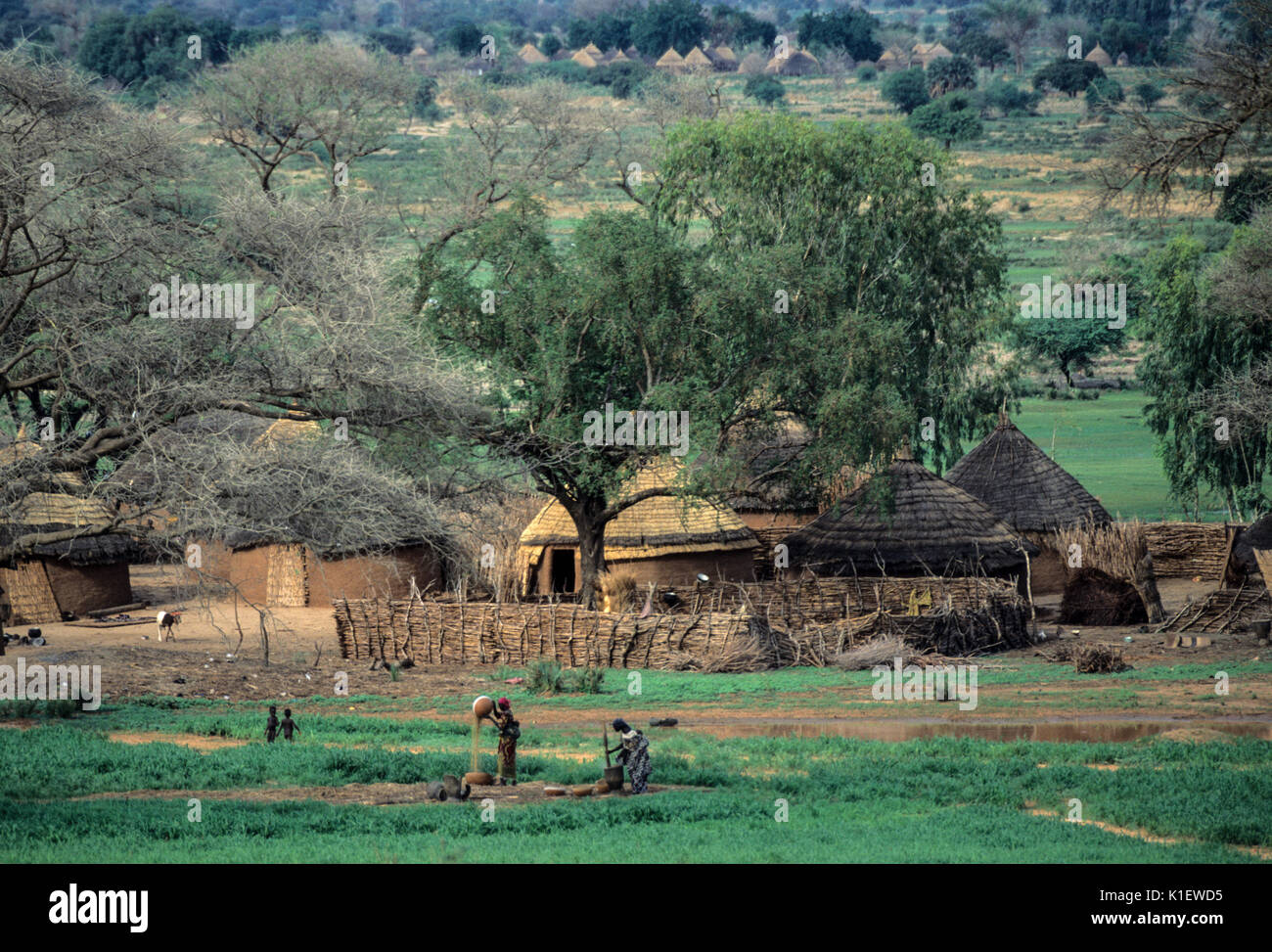 Doualaga, Niger. Village Scene, Rainy Season. Woman Sifting Millet in ...