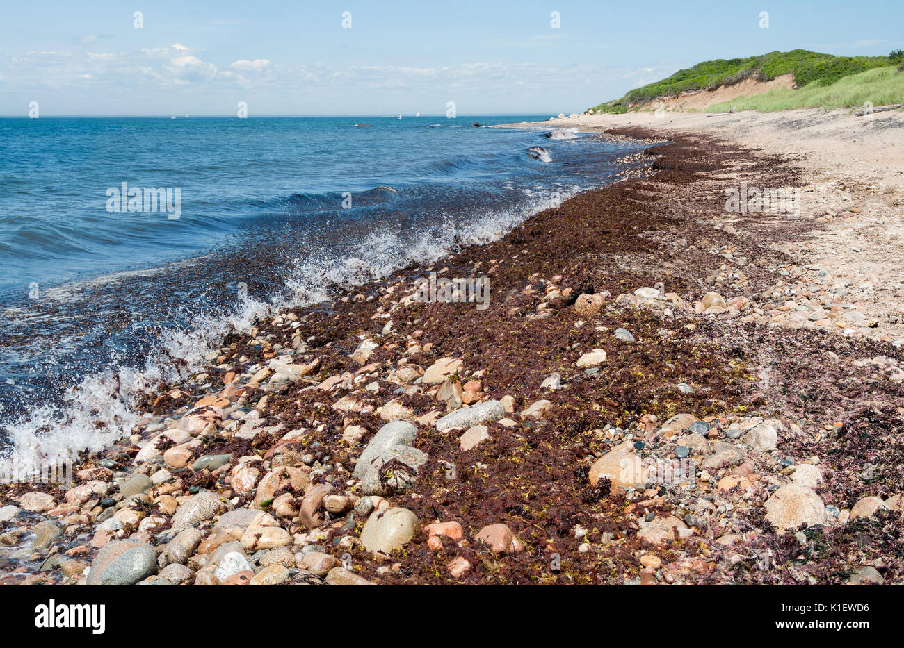 Sand dunes weeds on beach hi-res stock photography and images - Alamy