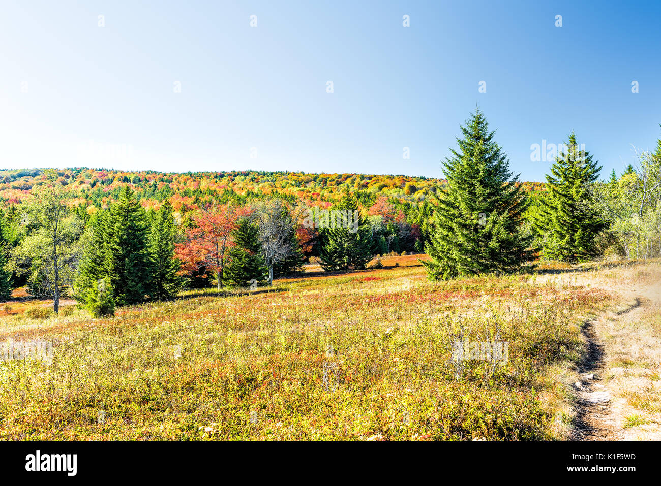 Dolly sods national wilderness hi-res stock photography and images - Alamy