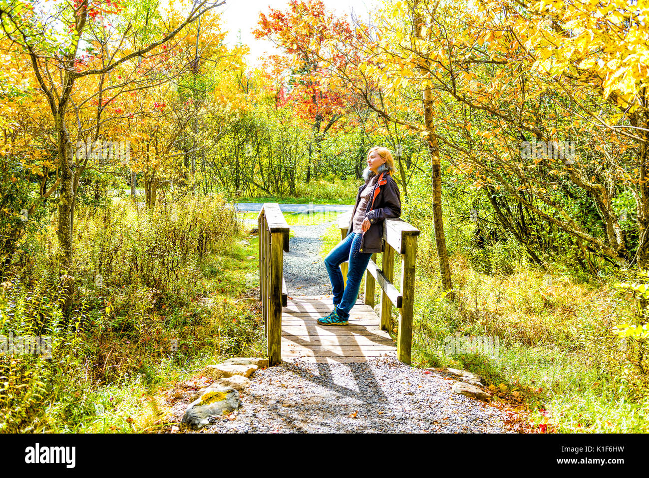 Young woman leaning on small wooden bridge in autumn smiling thinking ...