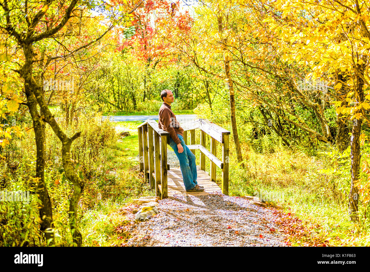 Thinking small hi-res stock photography and images - Alamy