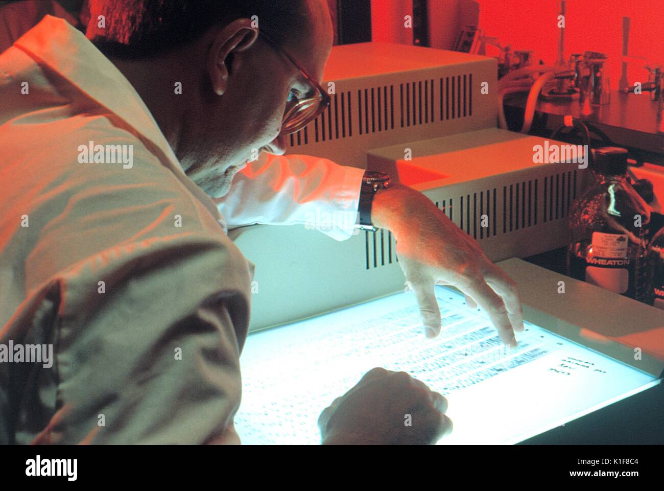 Laboratory worker reviewing DNA band pattern. LabScience, Laboratory ...