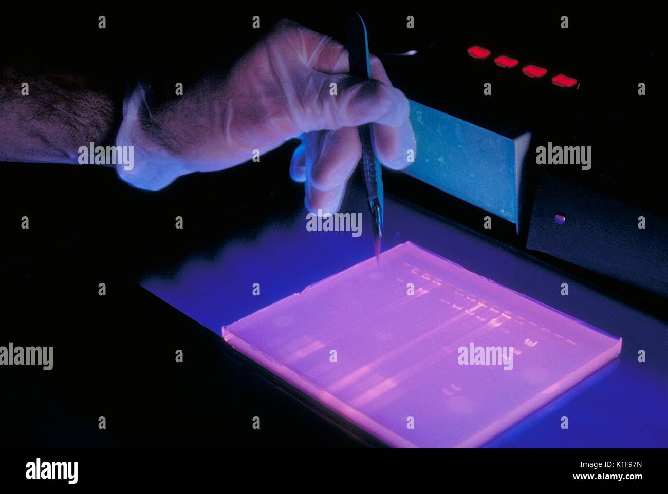 Labscience hi-res stock photography and images - Alamy