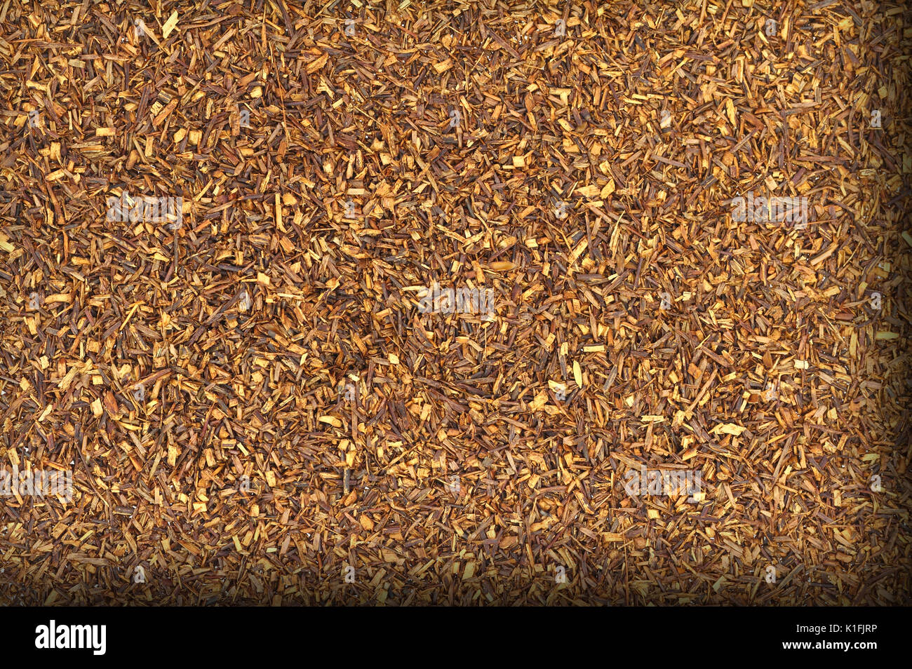 Rooibos plant hi-res stock photography and images - Alamy