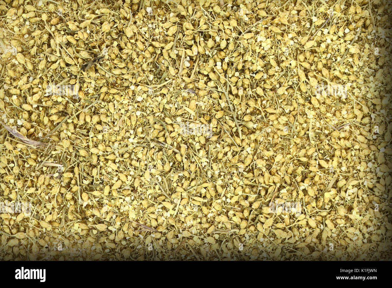 Dried yarrow hi-res stock photography and images - Alamy