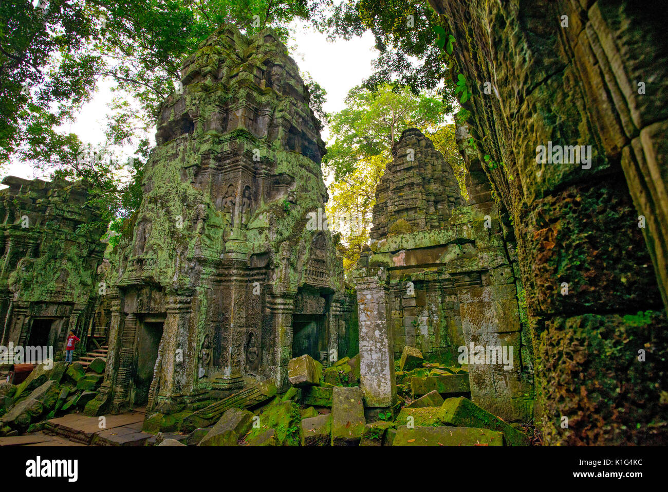 Ta prohm temple,Cambodia Stock Photo - Alamy