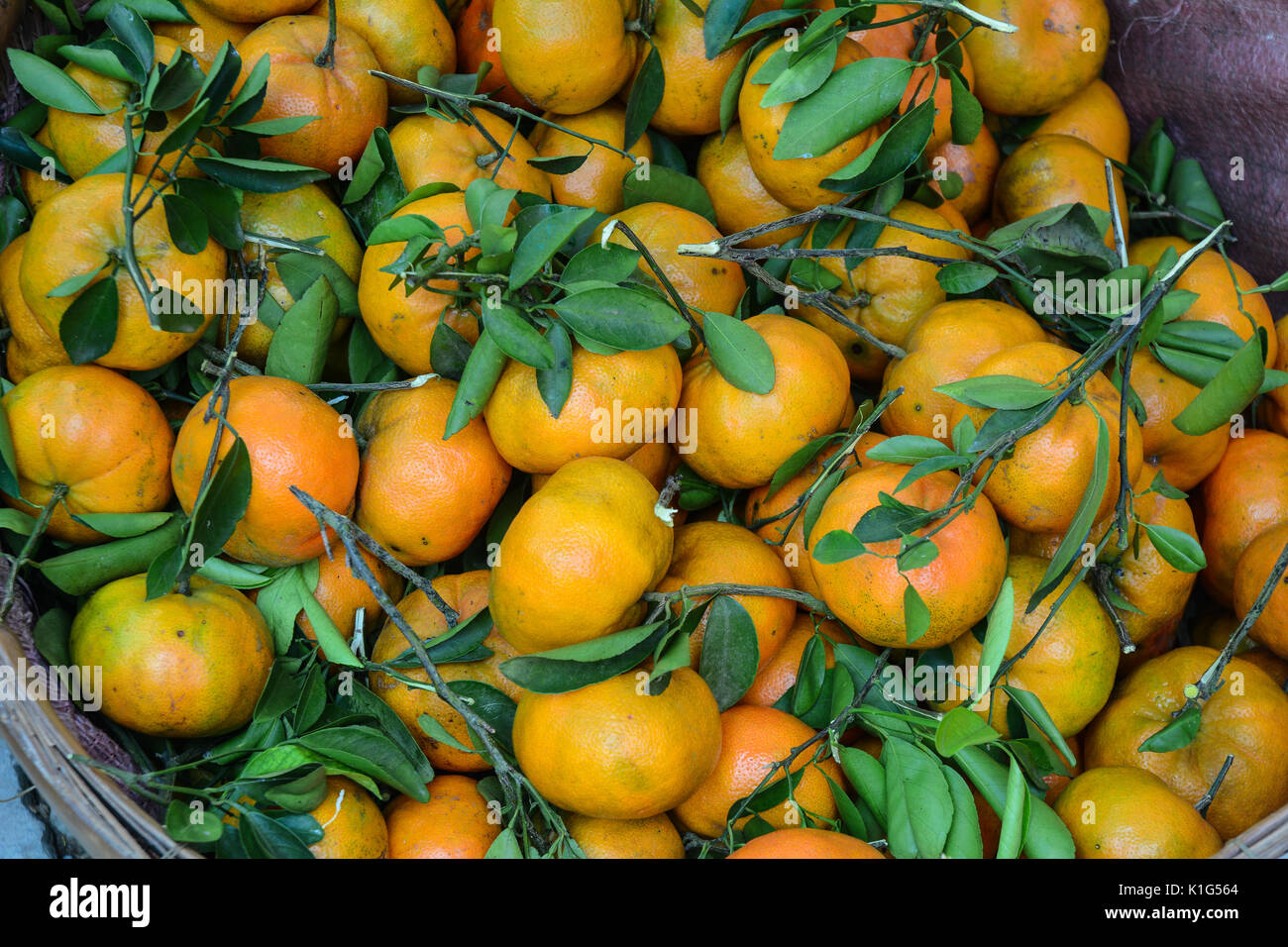 Fresh mandarin fruits for sale at local market in Mekong Delta, Vietnam ...