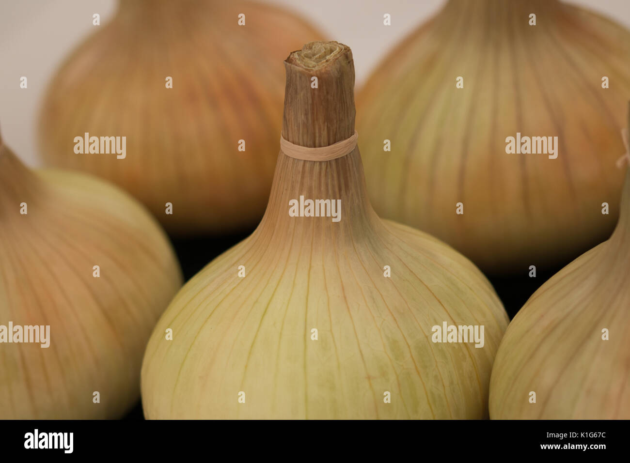 Show onions hi-res stock photography and images - Alamy