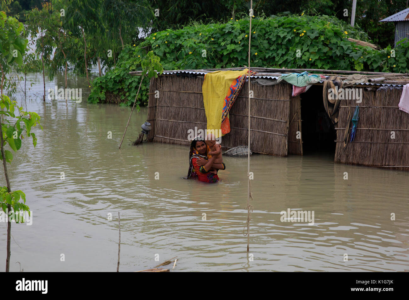 Fulbari hi-res stock photography and images - Alamy
