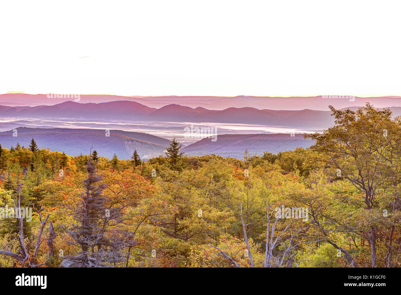 Bear rocks sunrise during autumn with rocky landscape in Dolly Sods ...