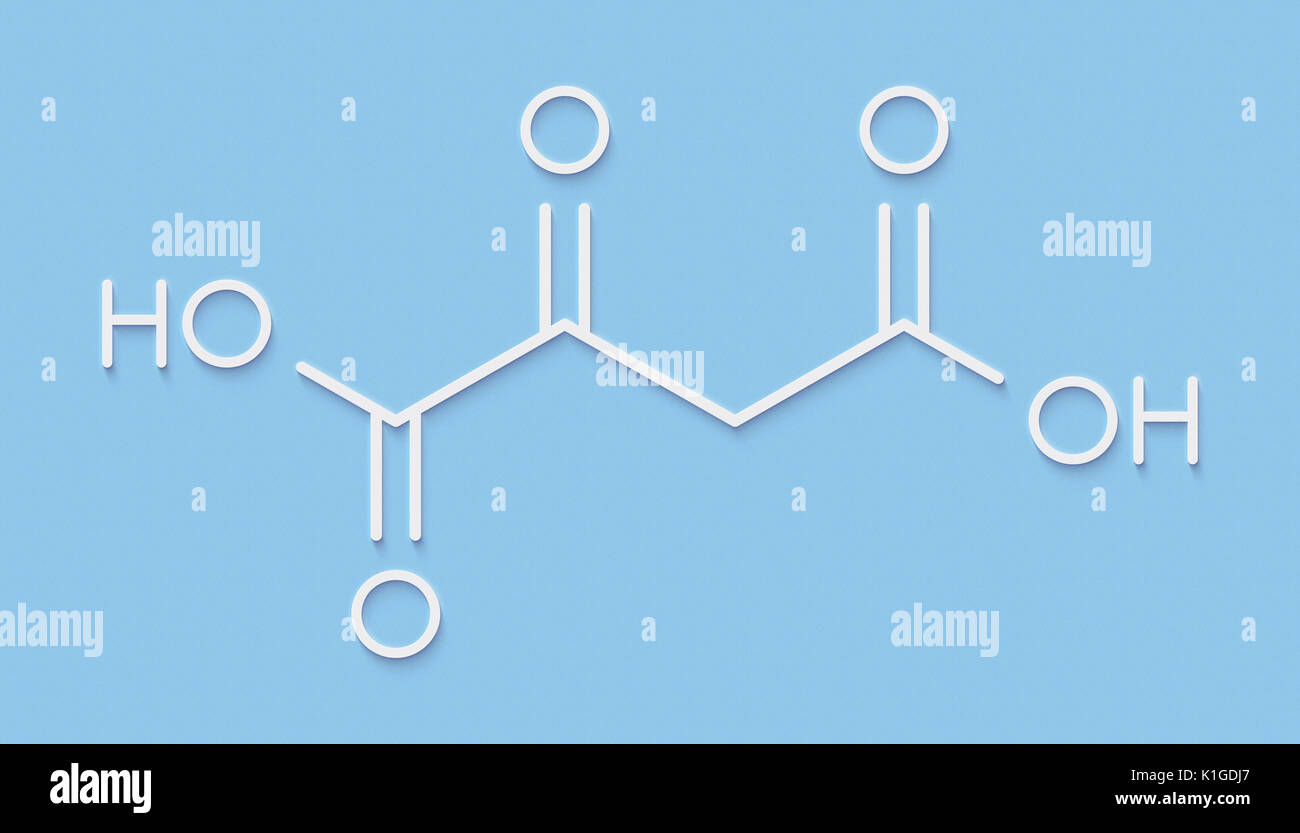 Oxaloacetate hi-res stock photography and images - Alamy