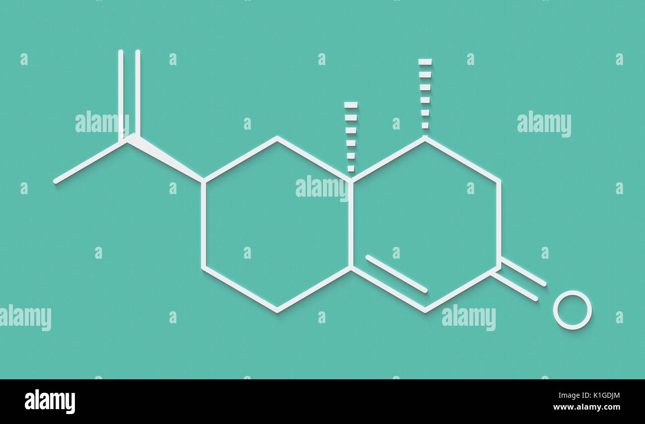 Nootkatone natural insect repellent molecule. Present in grapefruit ...