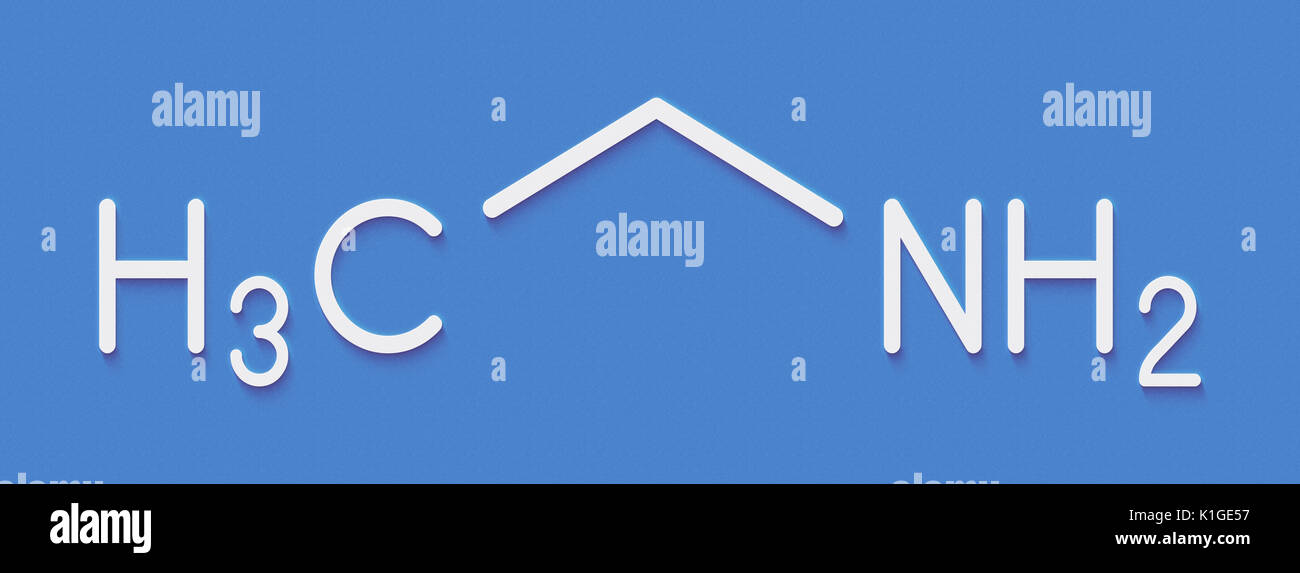 Skeletal base hi-res stock photography and images - Alamy