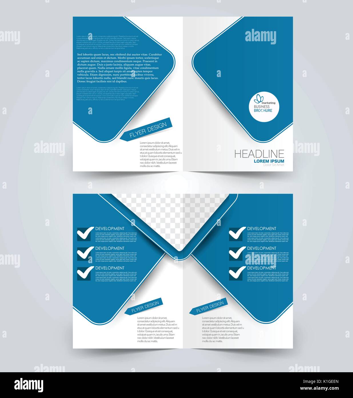 Education Flyers Background