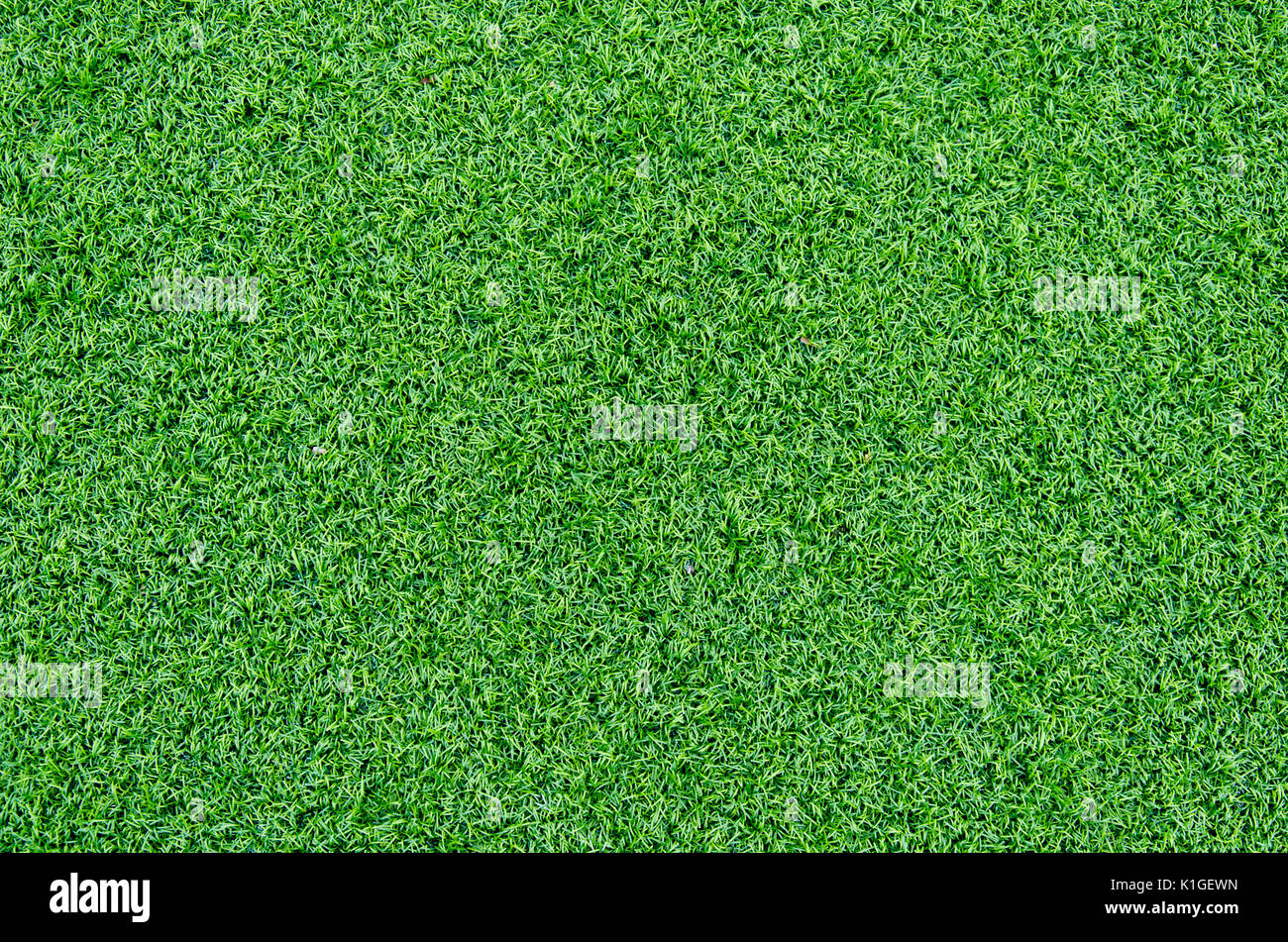 Beautiful green grass texture hi-res stock photography and images - Alamy