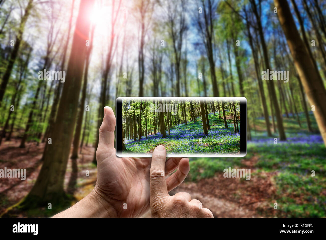 Two hands holding a mobile Smartphone and take a picture in forest of ...