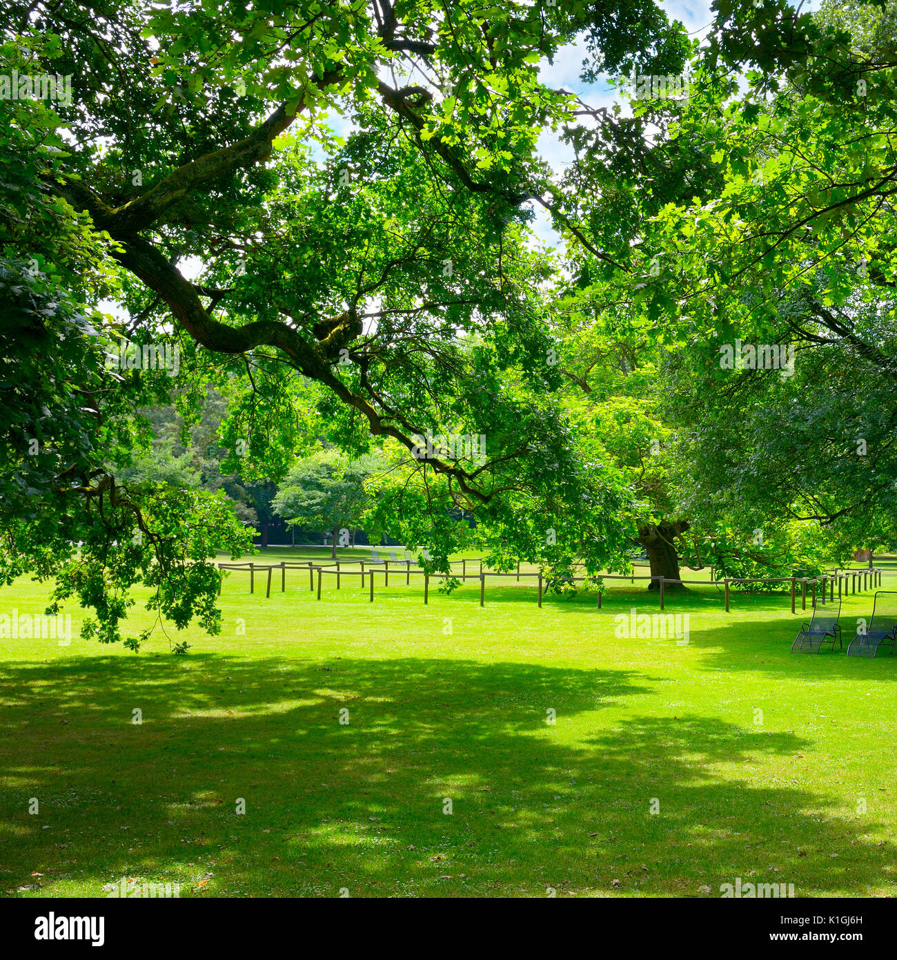 Meadow field grass hi-res stock photography and images - Alamy