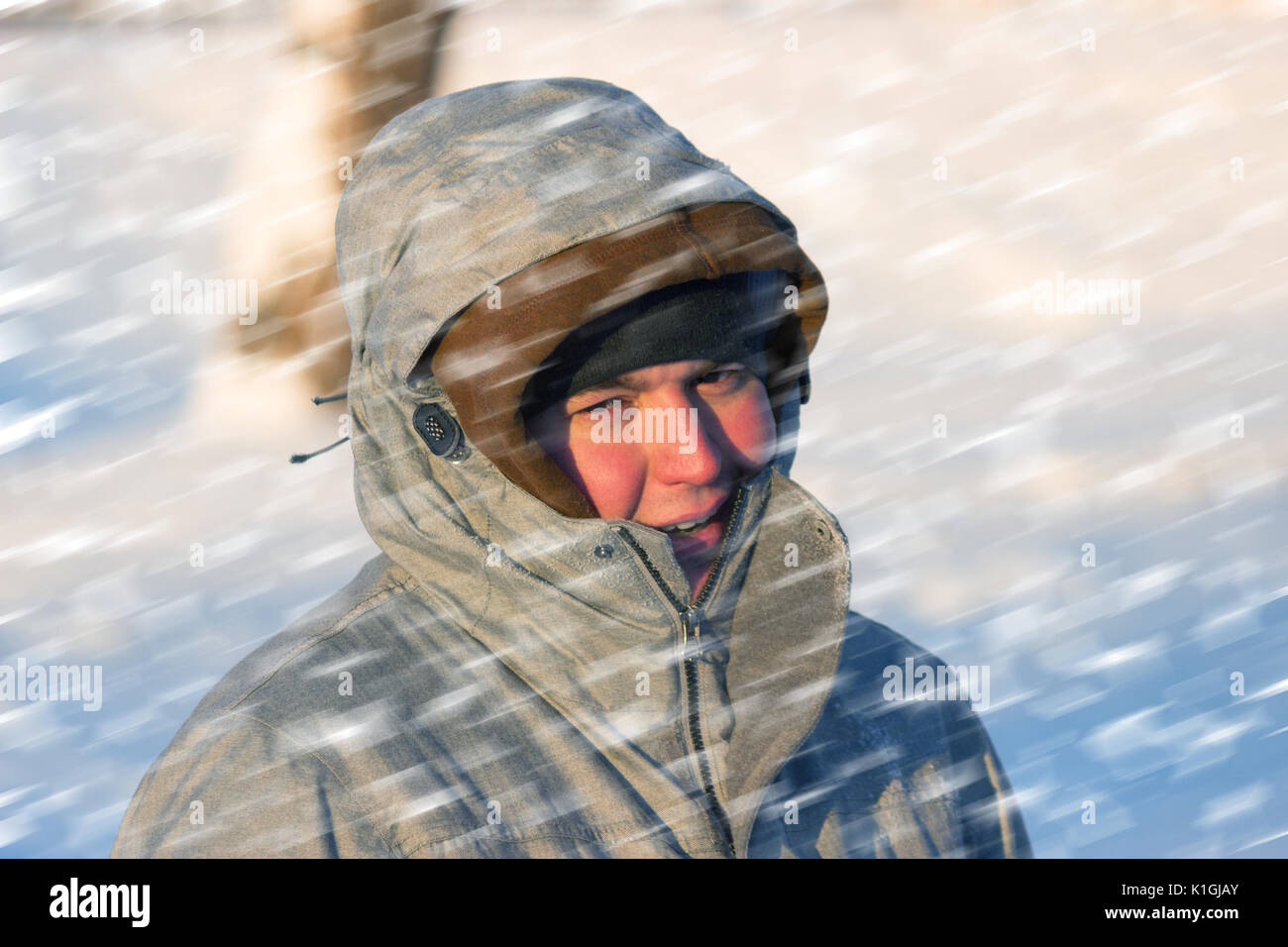 freeze man in north expedition. snow bizzard Stock Photo - Alamy