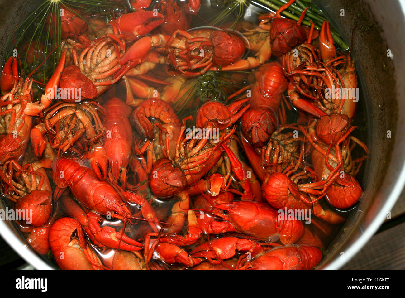 Crayfish hi-res stock photography and images - Alamy