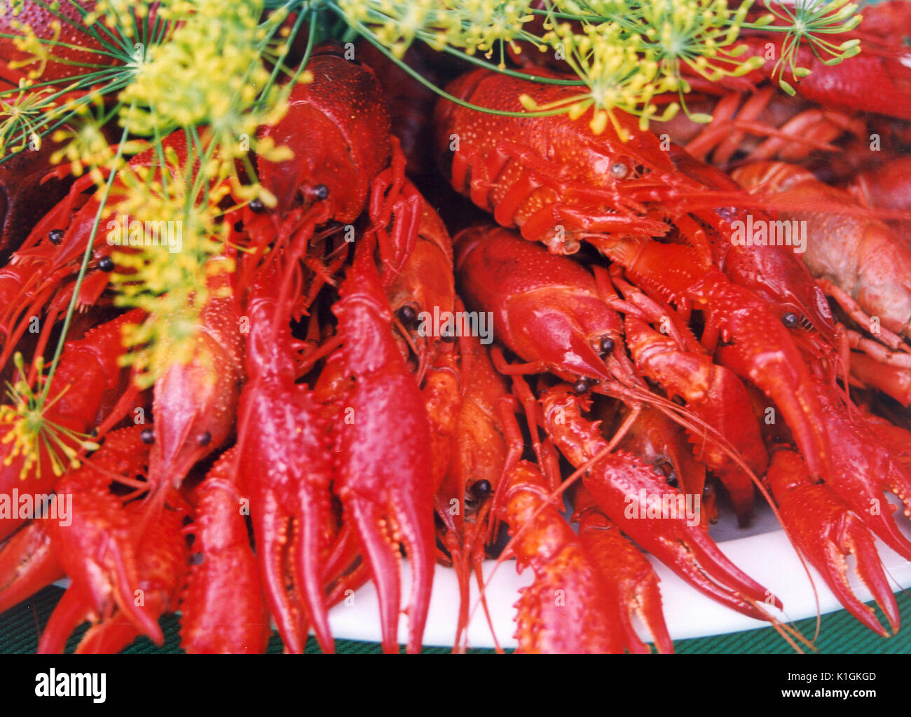 Crayfish hi-res stock photography and images - Alamy