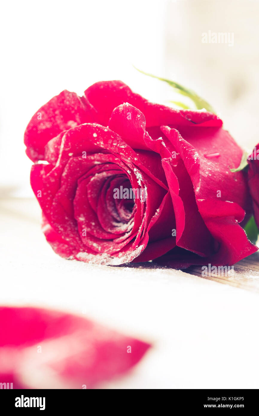 beautiful red color roses on wooden table Stock Photo - Alamy