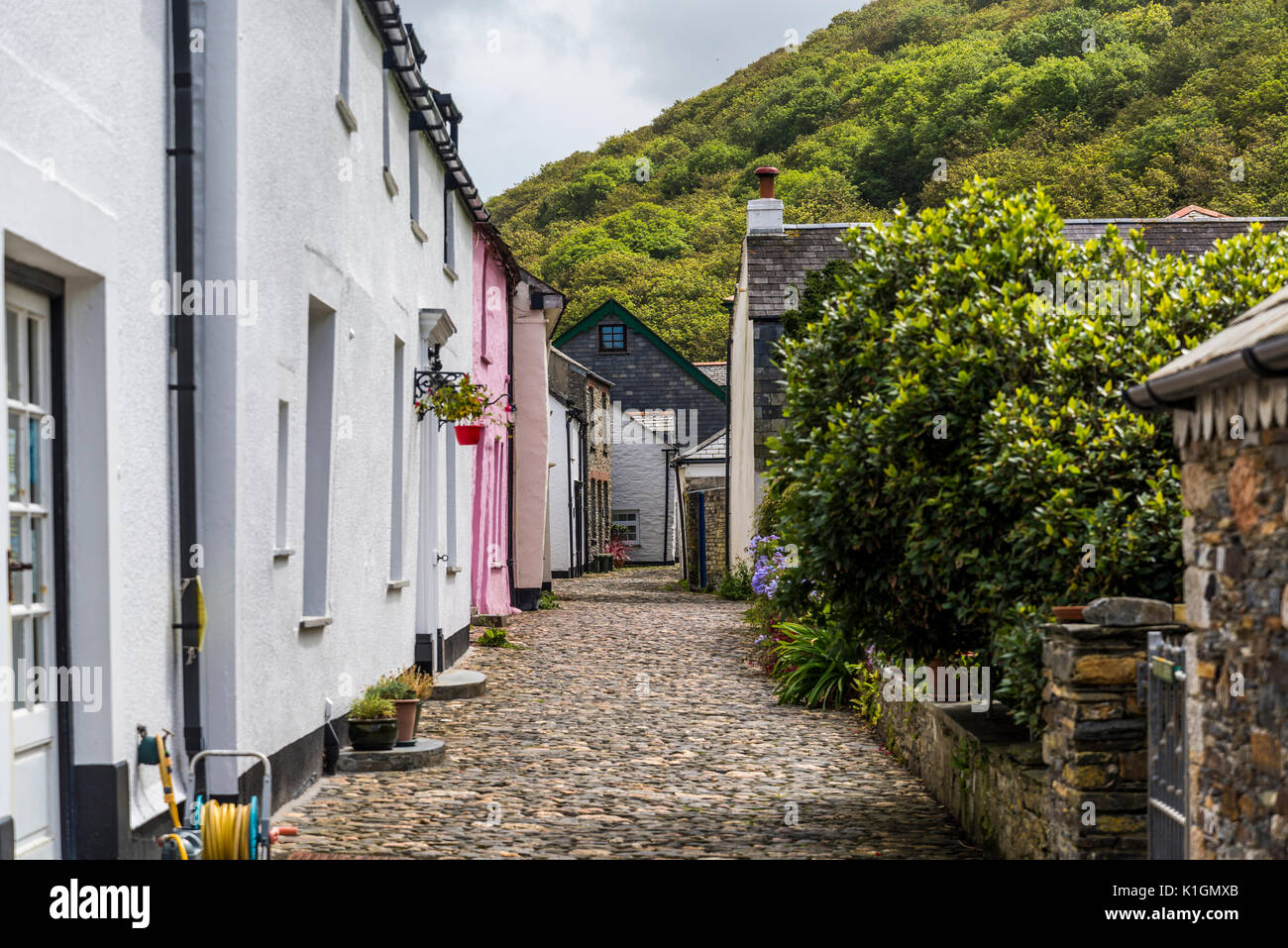 Narrow lane with traditional houses, Boscastle, a village and fishing ...