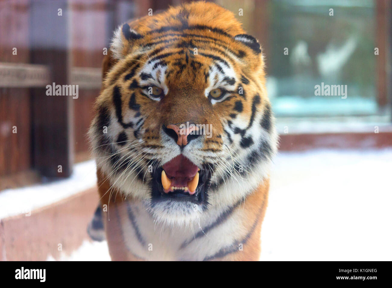 Warning signs zoo hi-res stock photography and images - Alamy