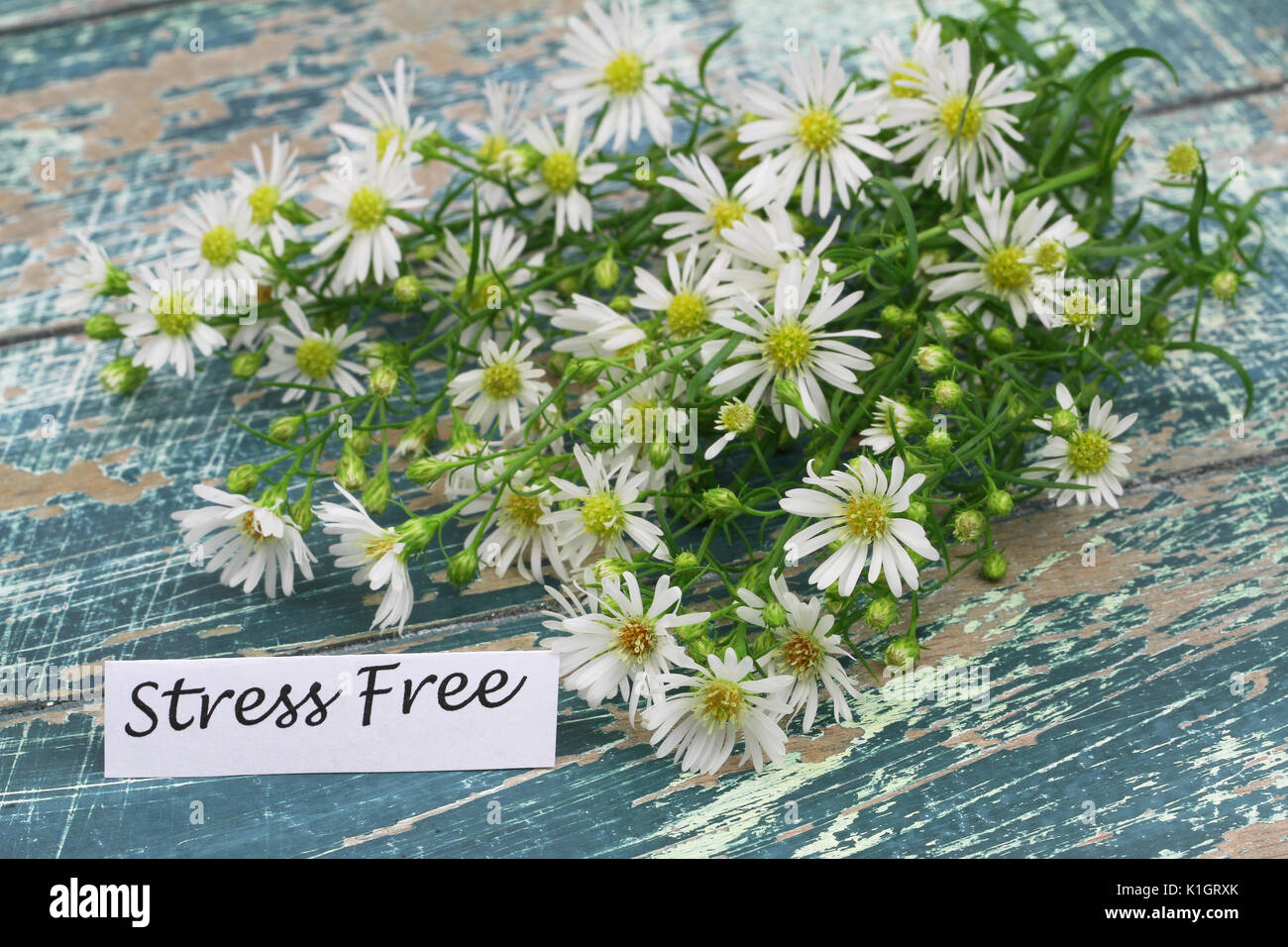 Stress free and flowers hi-res stock photography and images - Alamy