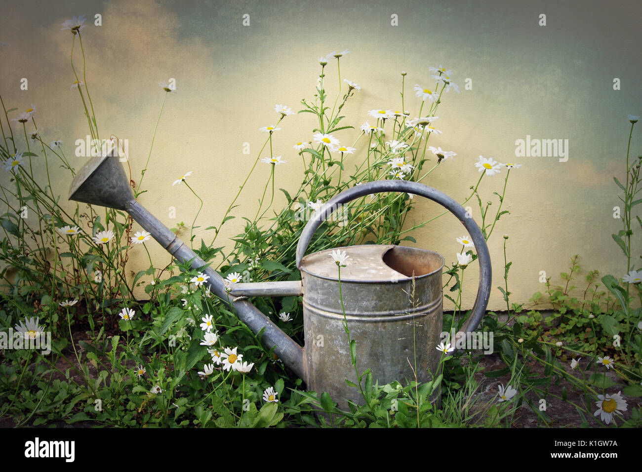 Sprinkling plant hi-res stock photography and images - Alamy