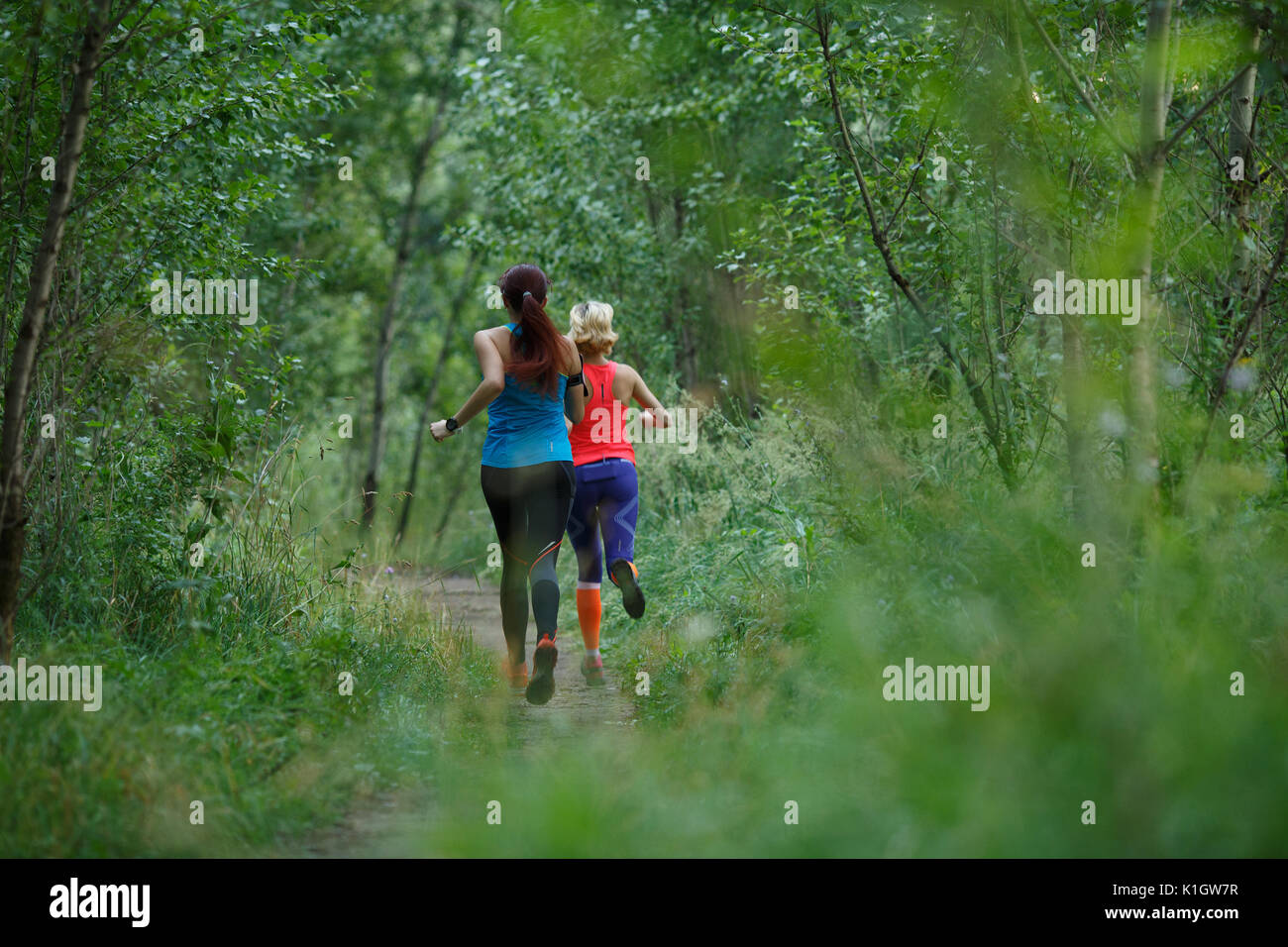 Image from back of two athletes running in woods at summer morning ...