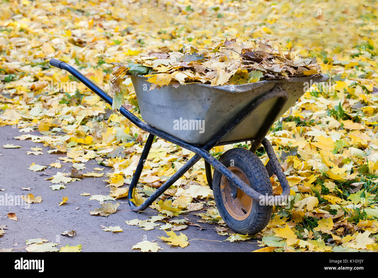 Wheelbarrow on a green grass hi-res stock photography and images - Alamy