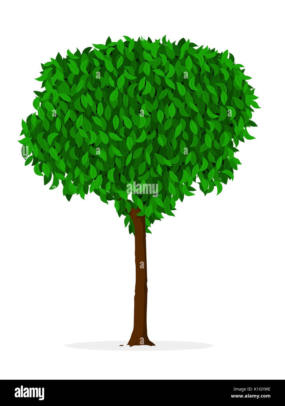 All about the benjamins Stock Vector Images - Alamy