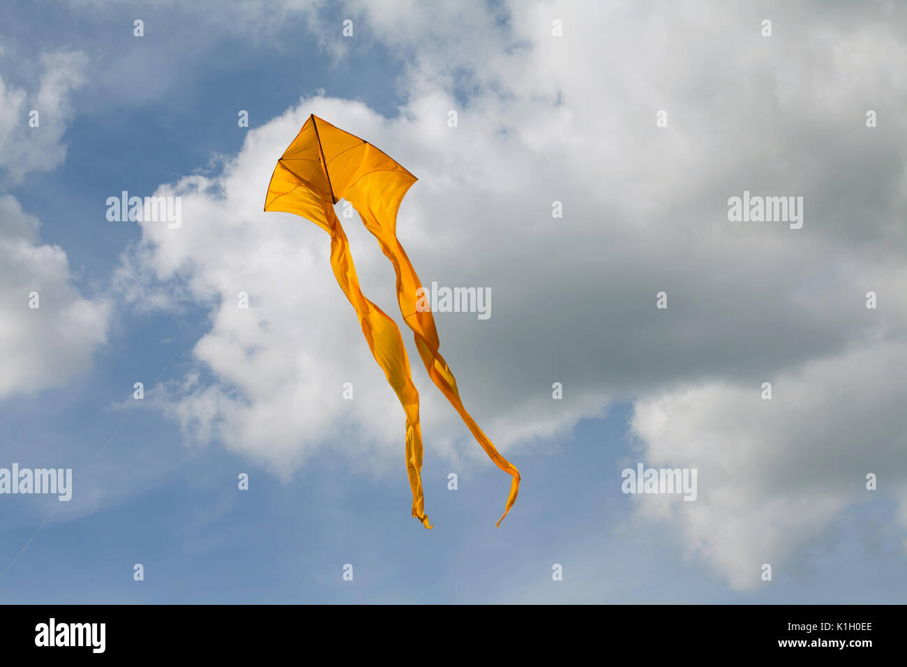 Whirling fly hi-res stock photography and images - Alamy