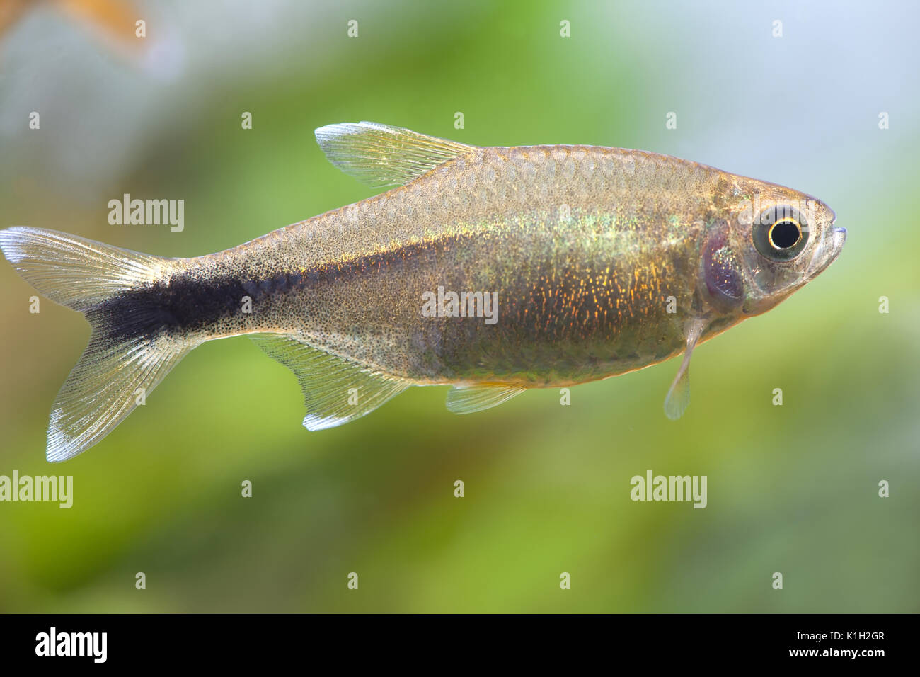 Landscape photography exhibit hi-res stock photography and images - Alamy