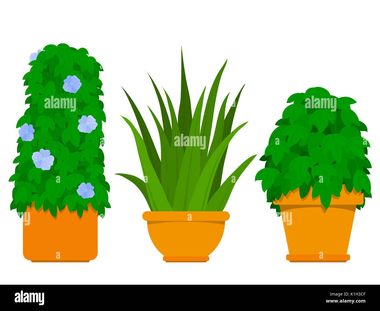 Planter plants on pots Stock Vector Images - Alamy