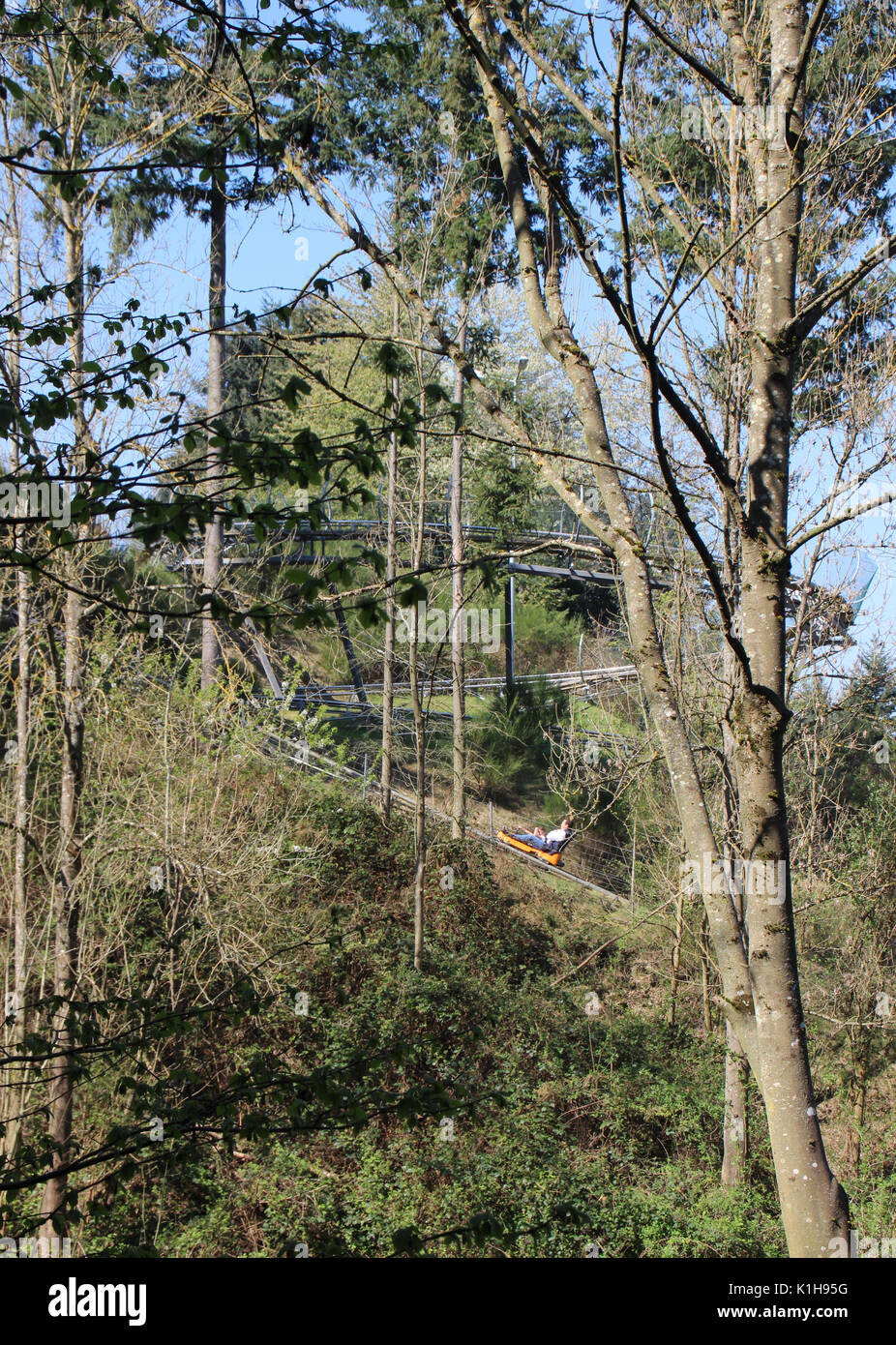 German Alpine Roller Coaster Stock Photo - Alamy