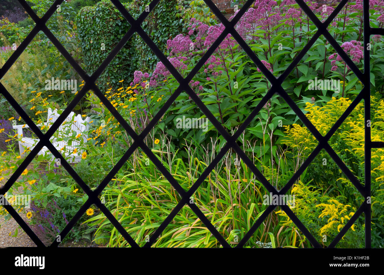View through lattice window of flower border late July Norfolk Stock ...