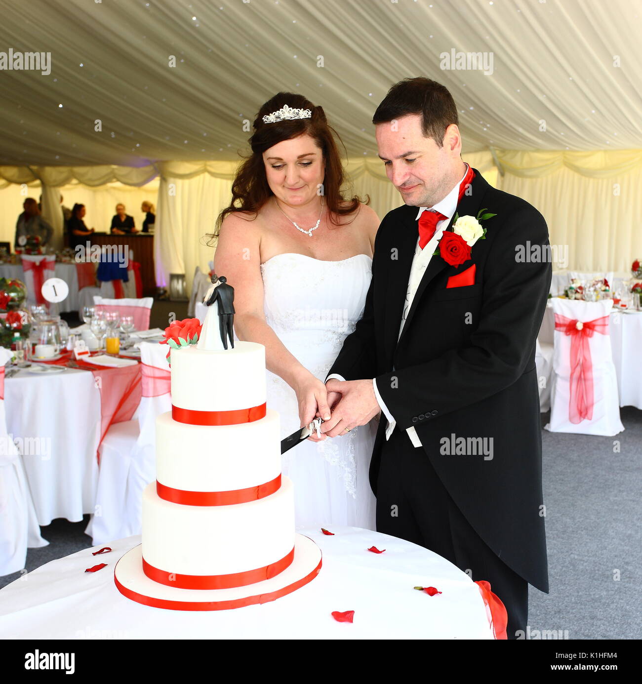 Wedding photographs, couples getting married and celebrating with their ...