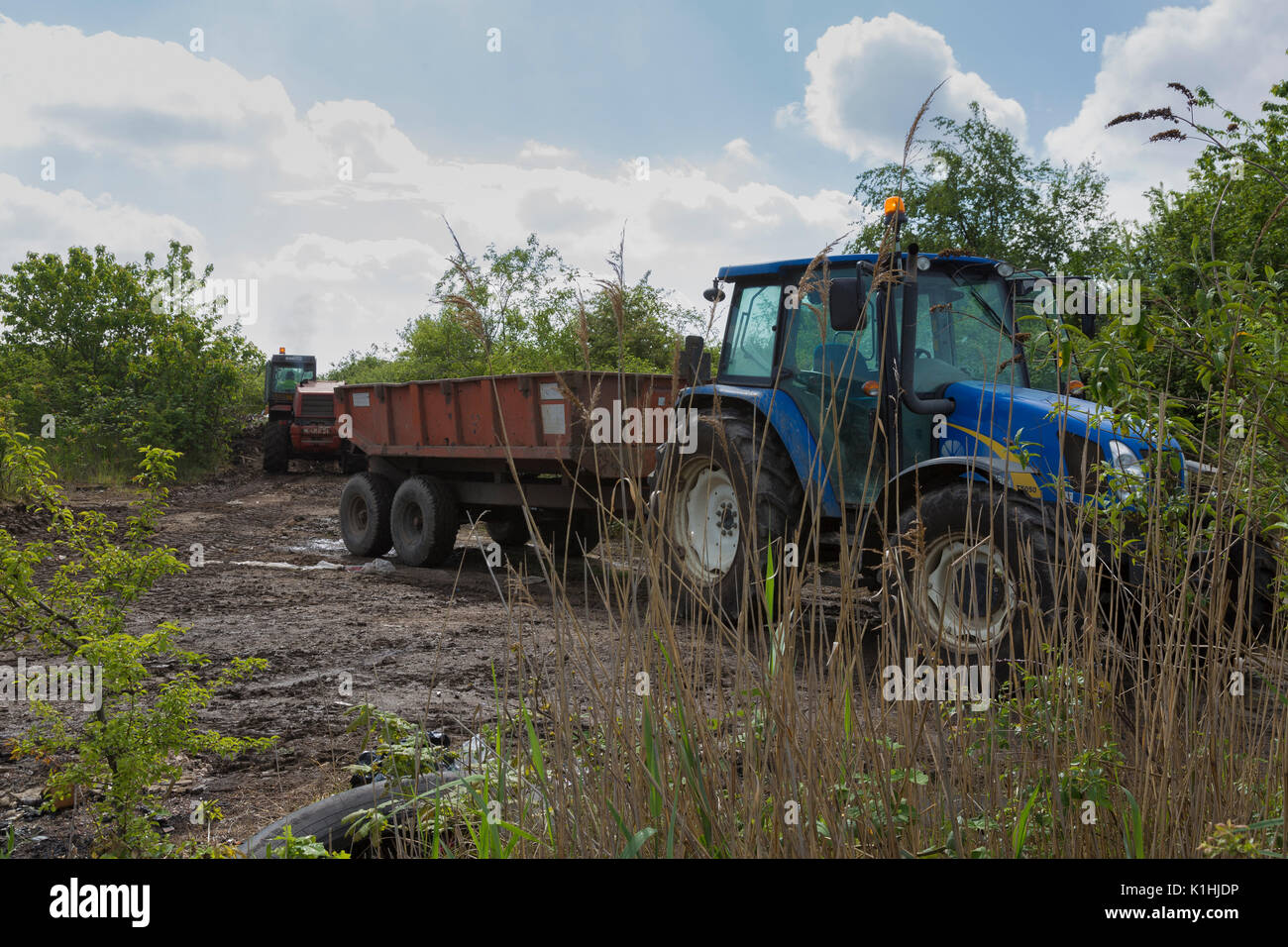 Pitsea hi-res stock photography and images - Alamy