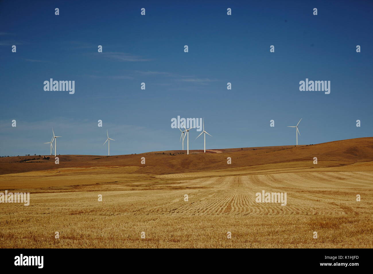Wind farm on a hill Stock Photo - Alamy