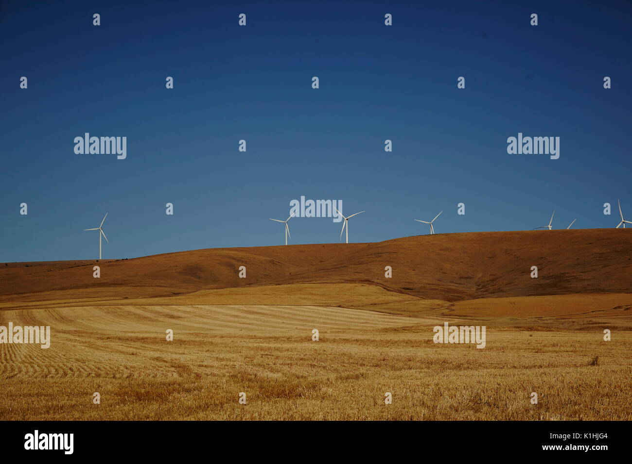 Wind farm on a hill Stock Photo - Alamy