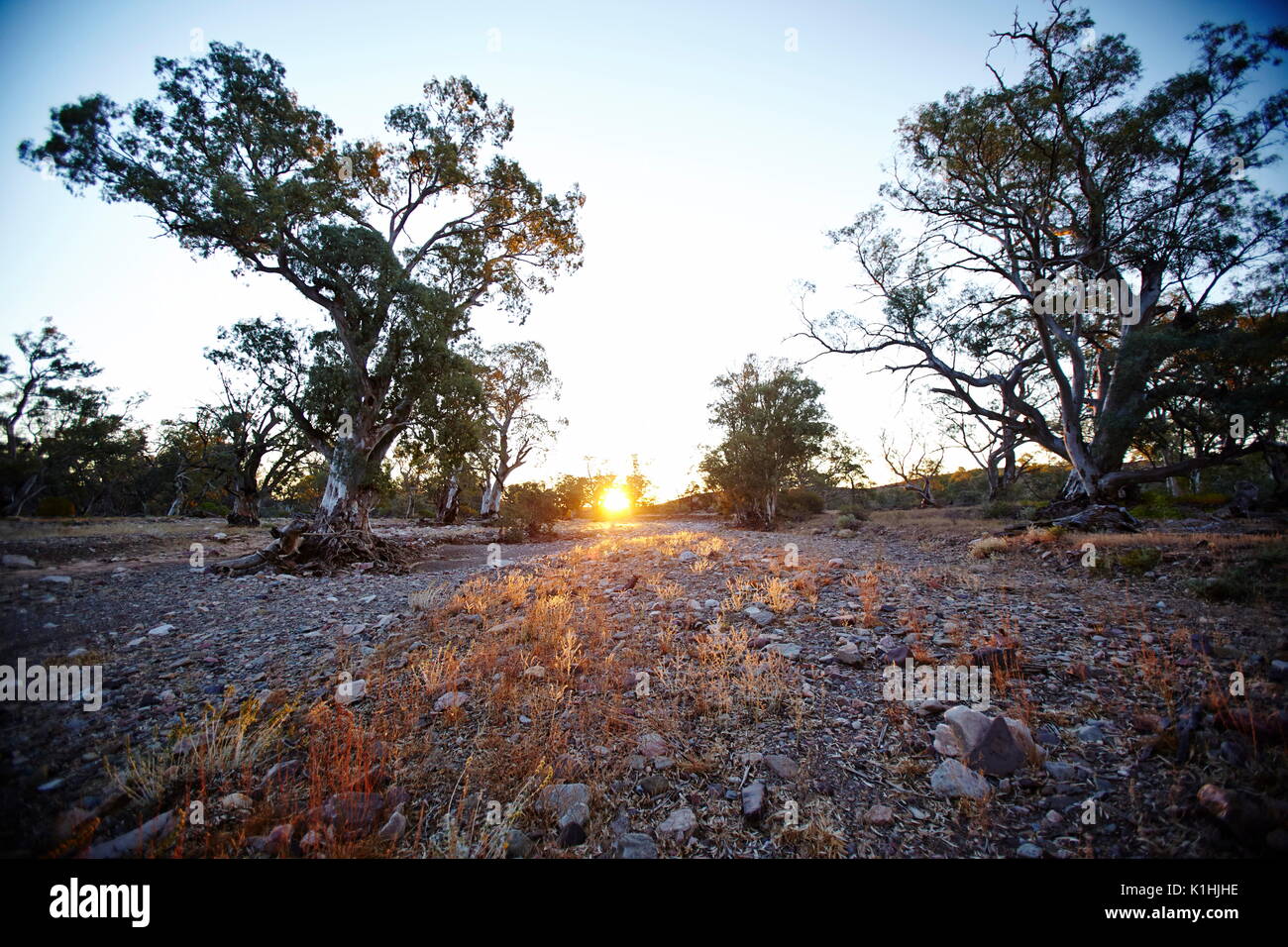 Flinders Ranges, South Australia Stock Photo - Alamy