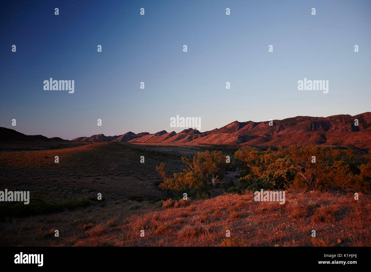 Flinders Ranges, South Australia Stock Photo - Alamy
