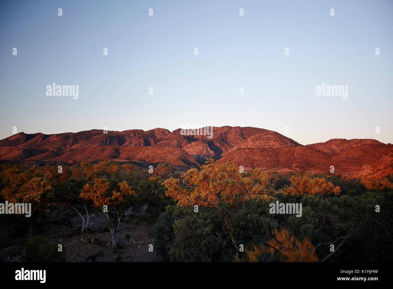 Flinders Ranges, South Australia Stock Photo - Alamy